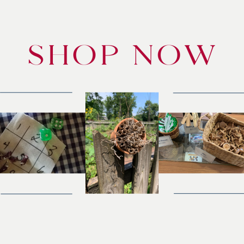 Morgan Log House | Settled 1708